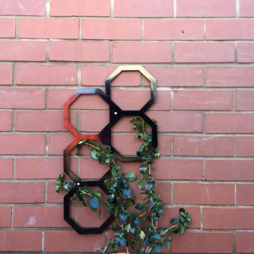 Hexagon Garden Trellis Frame